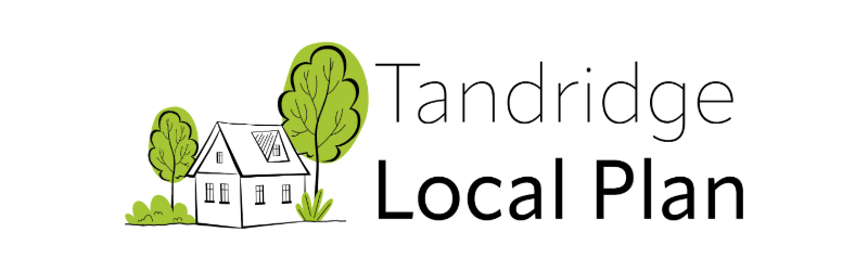 Tandridge District Local Plan 2024 - 2044